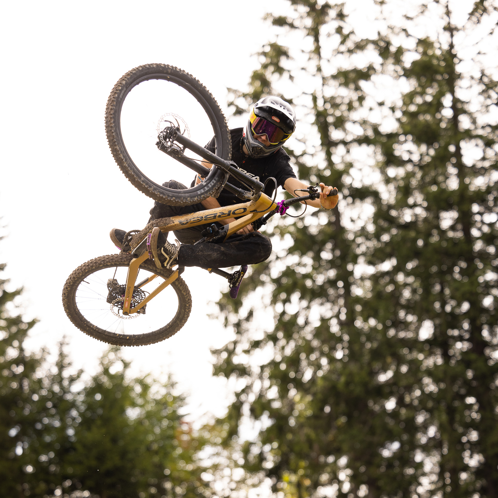 Tom Feuz - Amsler & Co - Bikes & Parts